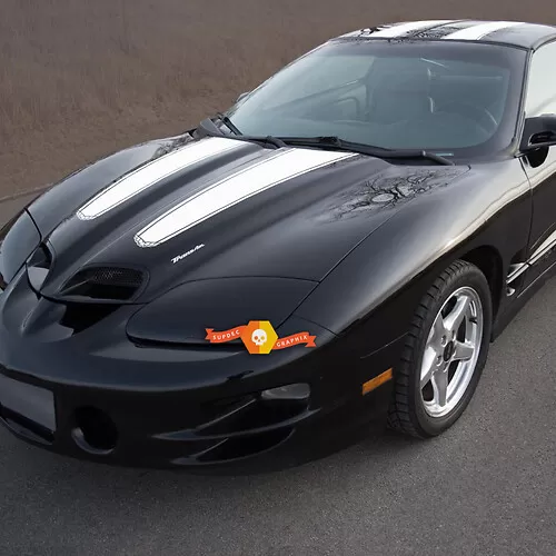 Neue Firebird Pontiac Streifen Trans Am Motorhaube Dach Heckklappe Vogel Aufkleber Grafik Pontiac Aufkleber Aufkleber